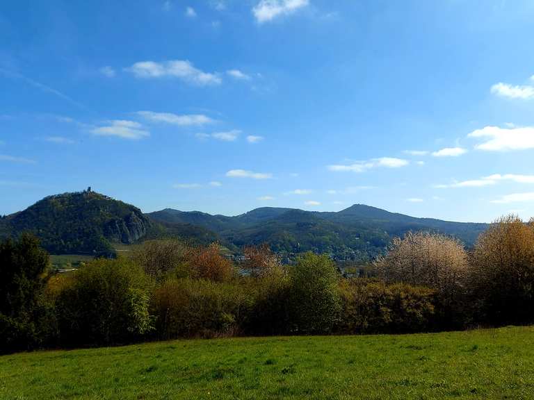 Dächelsberg - Ließemer Berg – Naturschutzgebiet Rodderberg Rondje ...