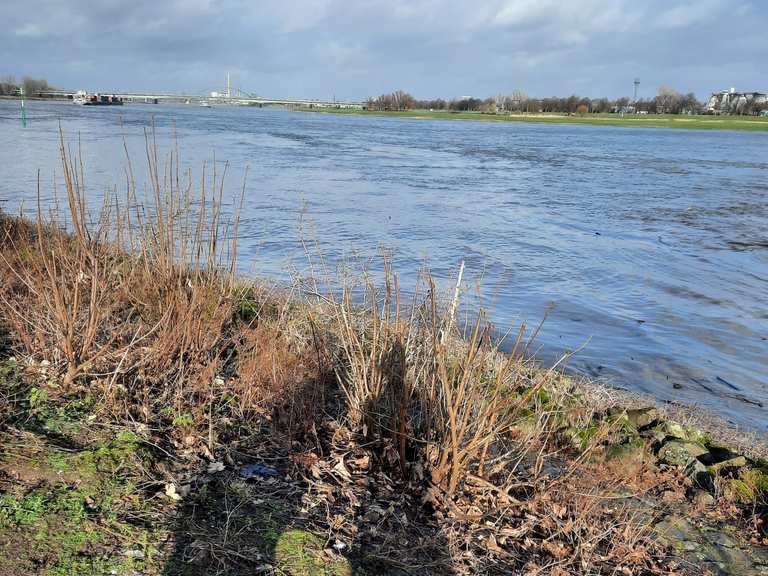 Die Mündung der Erft in Neuss-Grimlinghausen - Itinéraires de rando et ...