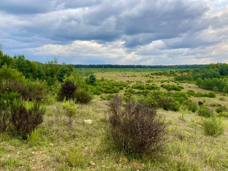 Nationaal Park Hoge Kempen Topfietsroute Korte lus (vertrek vanaf het ...