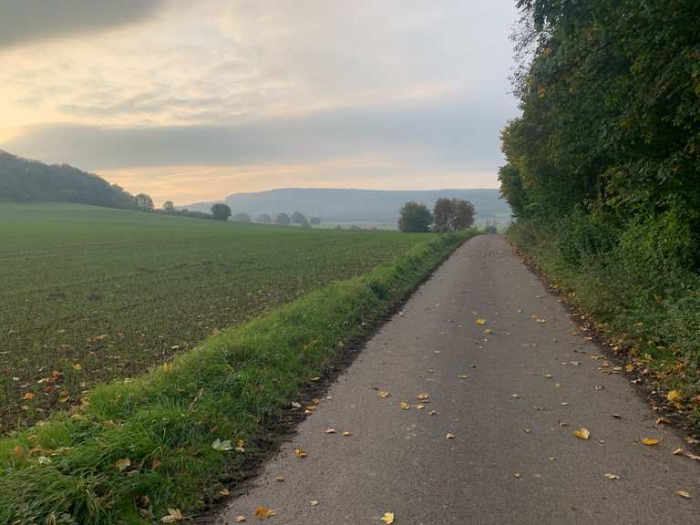 Radweg Springe - Altenhagen I (parallel zur B217): Rennradfahren und ...