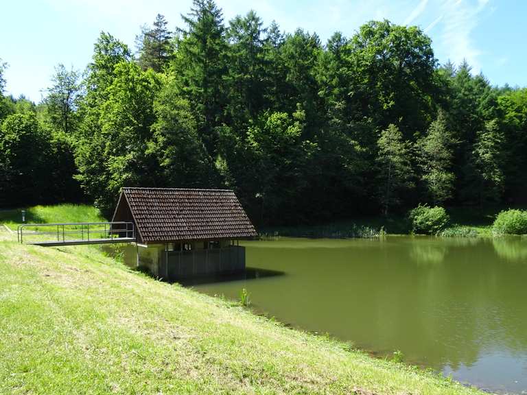 Michelsee bei Aglasterhausen-Michelbach - Cycle Routes and Map | Komoot