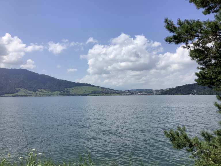 Naturstrand bei Walchwil - Cycle Routes and Map | Komoot