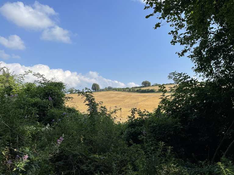 Meon Valley Trail - Routes for Walking and Hiking | Komoot
