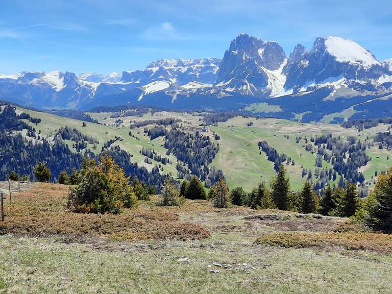 Santnerspitze mit Schlern Routes for Walking and Hiking | Komoot