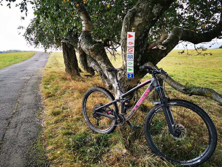 Survivalist - Mountain Bike Trails & Tracks | Komoot