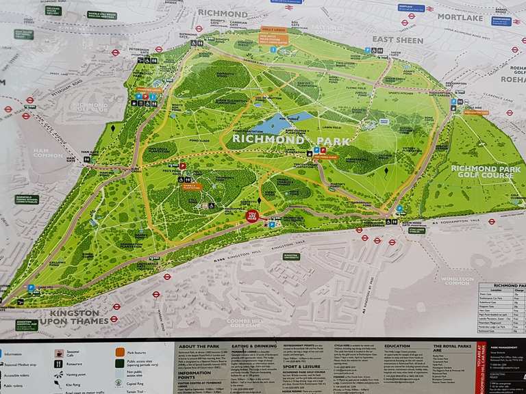 Deer in Richmond Park Road Cycle Routes and Map | Komoot