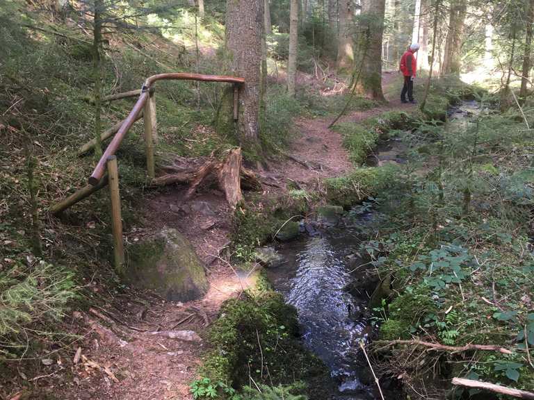 Schöner Weg am Bach entlang: Wanderungen und Rundwege | komoot