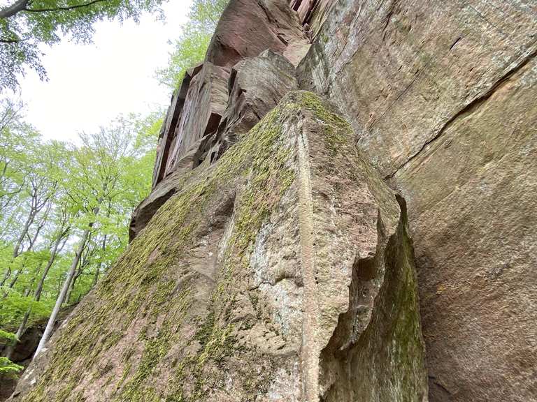 Sendero de la Cantera de Arenisca (Neckarhalde): Rutas de senderismo y ...