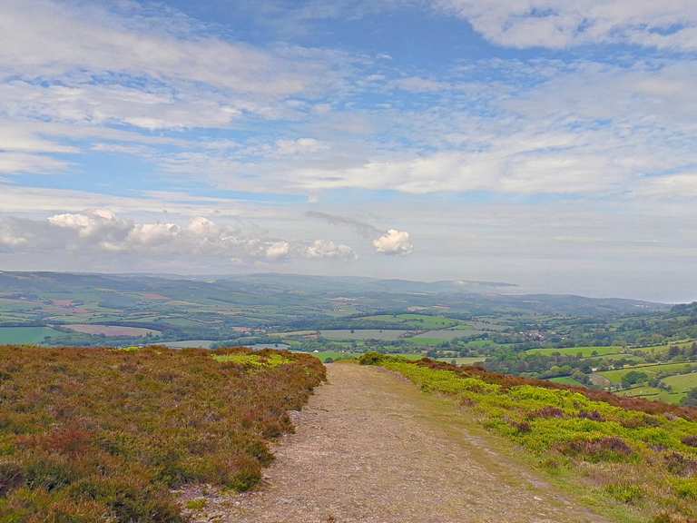 Wills Neck Schleife von Triscombe Stone — Quantock Hills | Wanderung ...