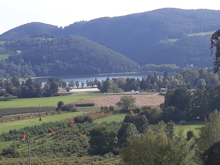 Schloss Stubenberg: Wanderungen und Rundwege | komoot