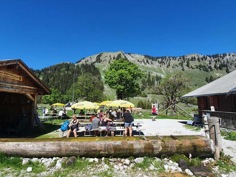 Buvette d'alpage St. Antoni Brecca: Wanderungen und Rundwege | komoot