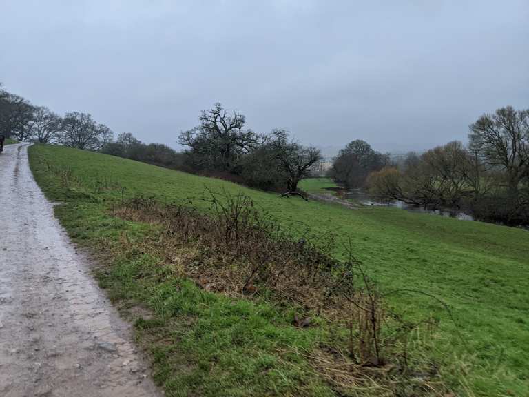 Killerton cycle track Cycle Routes and Map | Komoot