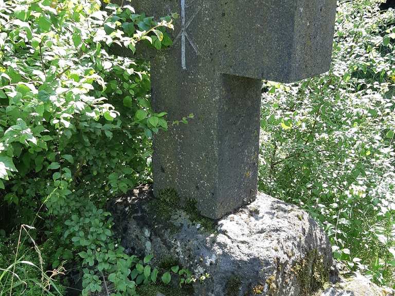 Darscheider Drees – Kaiserstein Runde von Darscheid | Wanderung | Komoot