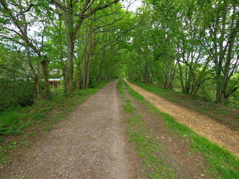 Castleman Trailway - excellent gravel track fom Ringwood - Cycle Routes ...