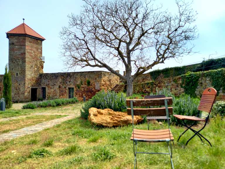 Burg Battenberg Routes for Walking and Hiking | Komoot