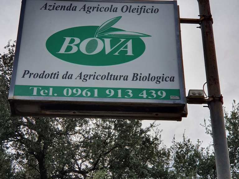 Oleificio Bova Farm, Amaroni – Cycling Routes & How to Get There | Komoot