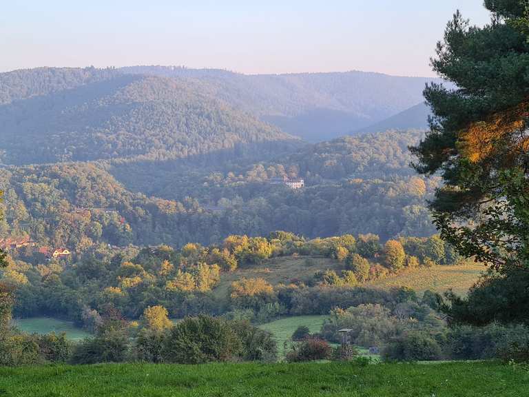 Blick auf das Château du Langenberg: Wanderungen und Rundwege | komoot