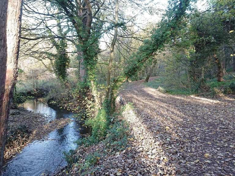 Meden Trail - Mountain Bike Trails & Tracks | Komoot