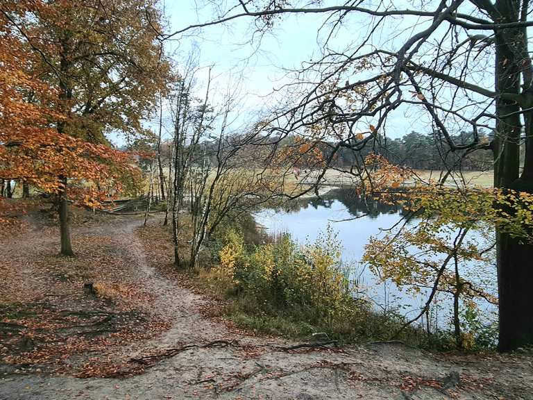 Surae bij Dorst - Cycle Routes and Map | Komoot