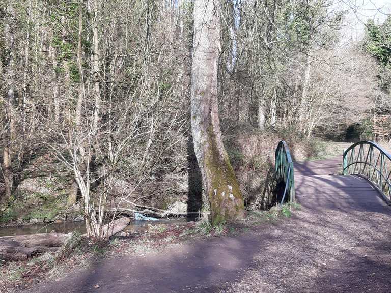 Castle Eden Dene National Nature Reserve Routes for Walking and Hiking ...