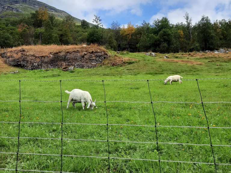 Westeras Farm wandelroutes en hikes | Komoot
