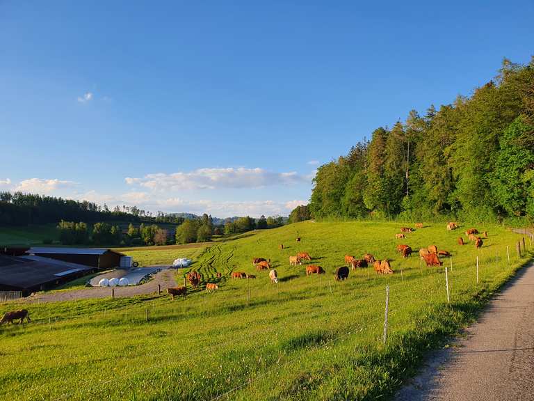 Hedinger Weiher : Radtouren und Radwege | komoot