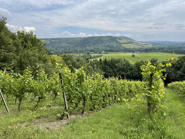 Die North Downs Way, Ranmore Common, Abinger Roughs & Denbies Vineyard ...