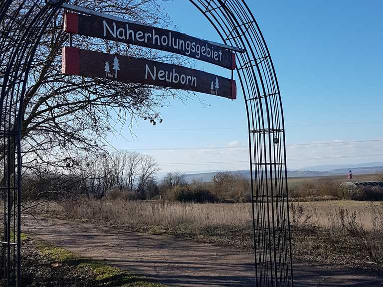 Parkplatz Naherholungsgebiet Neuborn: Wanderungen und Rundwege | komoot