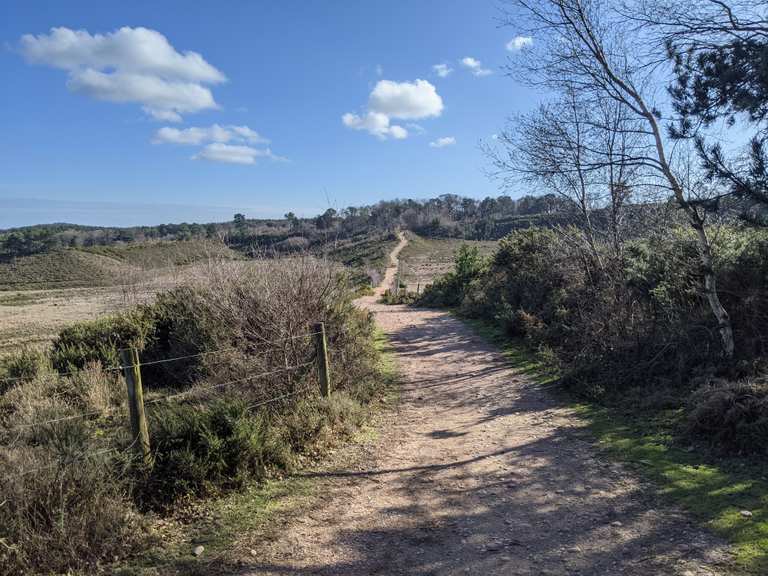 Peak Hill and Mutter's Moor loop from Woodbury Castle — East Devon ...