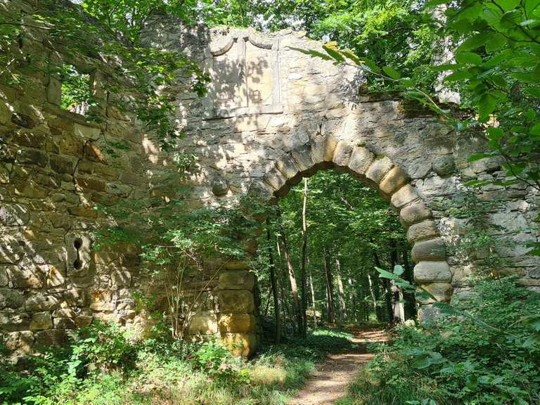Landschaftsgarten Bettenburg: Wanderungen und Rundwege | komoot