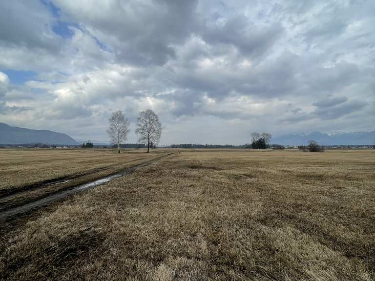 Ruggeller Riet Routes for Walking and Hiking | Komoot