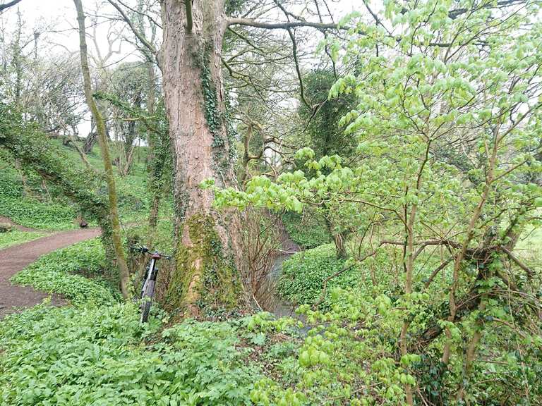 Meden Trail - Mountain Bike Trails & Tracks | Komoot