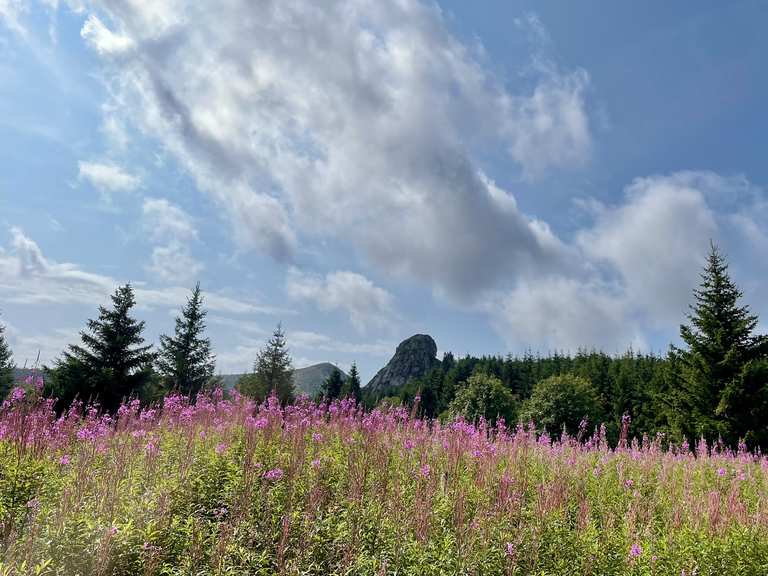 Les Cols de l'Ardechoise — Parco naturale regionale dei Monti d'Ardeche ...