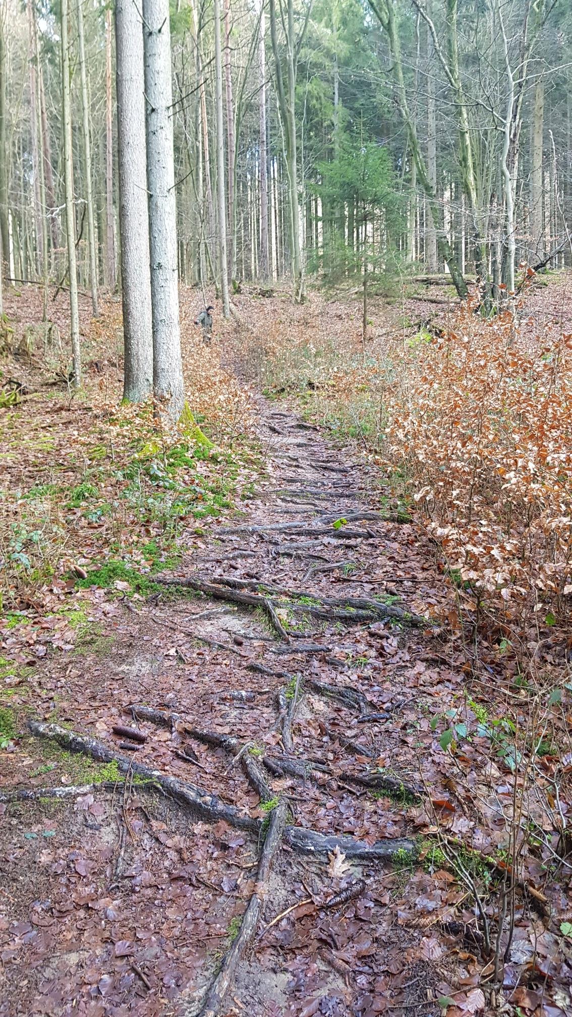 Die 3 schönsten Seen im Forst Haim im Spessart | Komoot