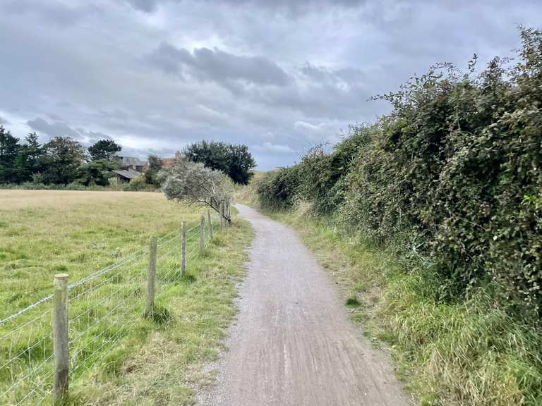 Camber Road cycle path: Radtouren und Radwege | komoot