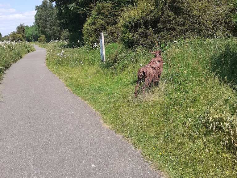 Water Rail Way at Stixwould - Road Cycle Routes and Map | Komoot
