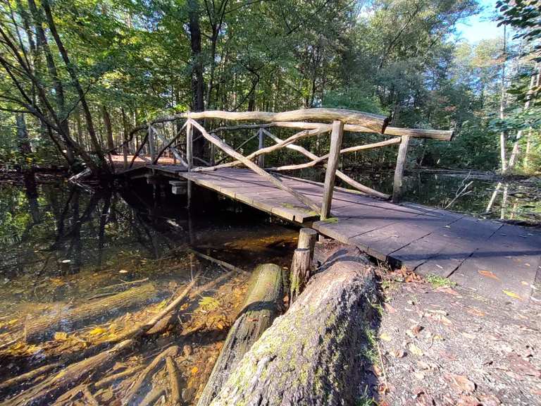 Wildgehege im Spandauer Forst – Kuhlake Rondje vanuit Tegelort ...