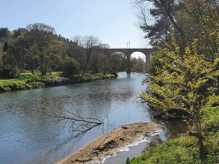Croxdale Railway Viaduct: Wanderungen und Rundwege | komoot