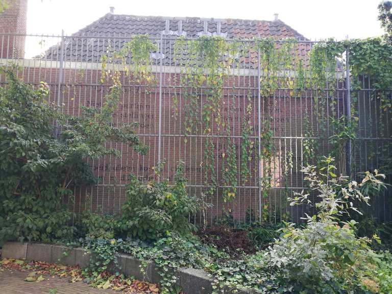 Poème mural de Marinus van der Lubbe - Itinéraires vélo et carte | Komoot