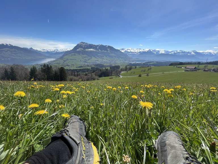 Rooterberg Routes for Walking and Hiking | Komoot