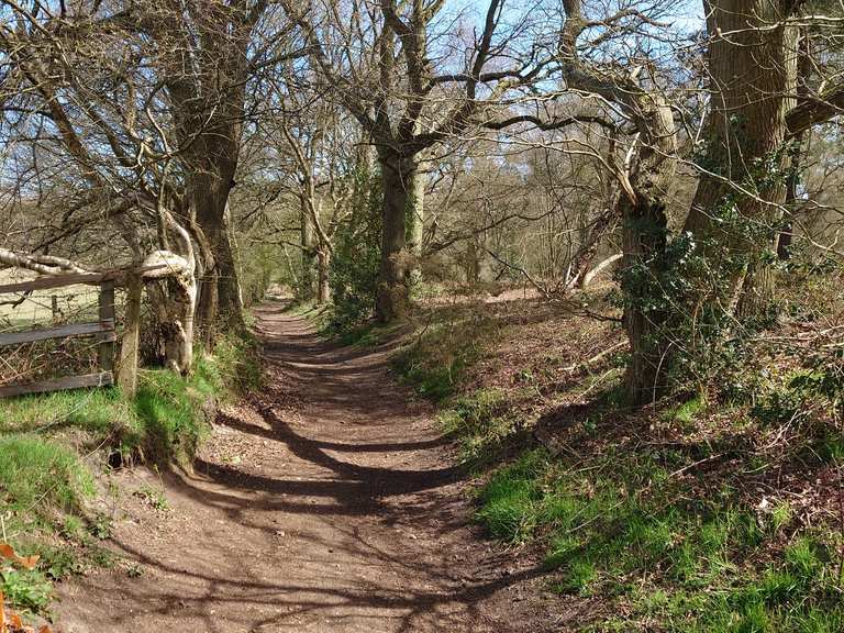 Aspley Woods & Woburn Bike Park from Leighton Buzzard | Mountainbike ...