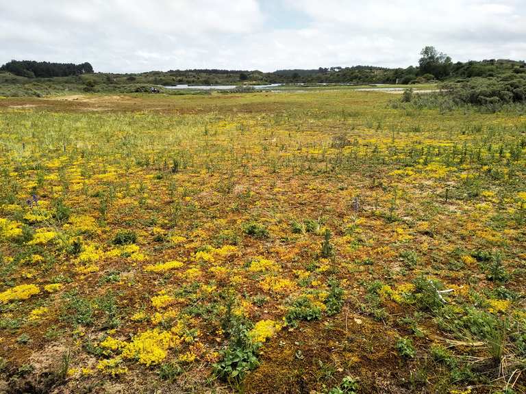 Hazenberg wandelroutes en hikes | Komoot