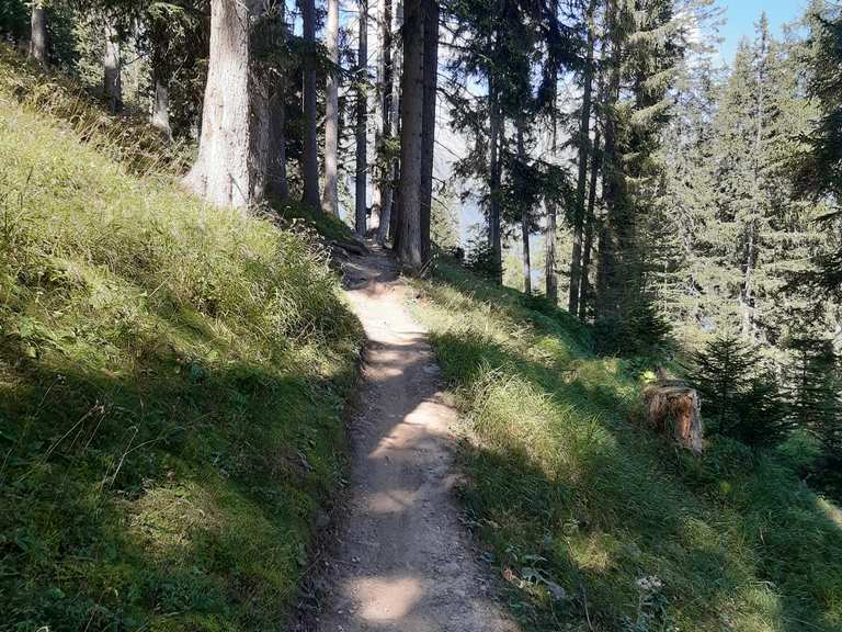 Green Trail Mountain Bike Trails & Tracks | Komoot