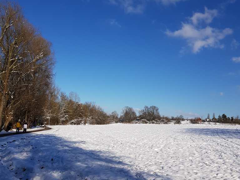 Beaver Habitat – Hiking & Cycling Routes | Komoot