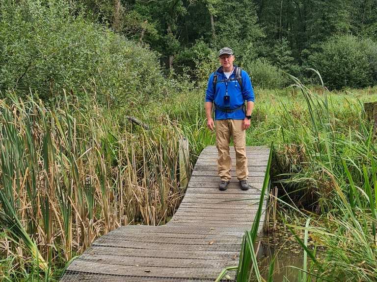 Steiger door het moeras wandelroutes en hikes | Komoot