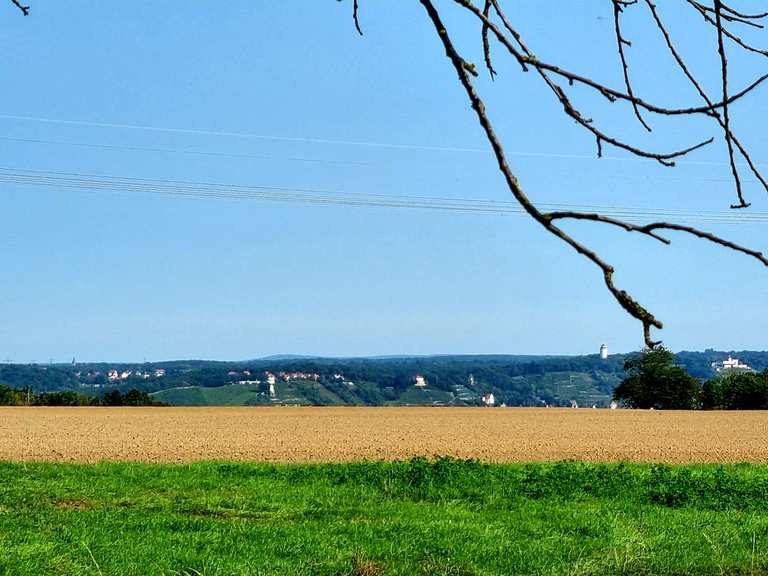 Blick auf die Weinberge Radebeul: Wanderungen und Rundwege | komoot