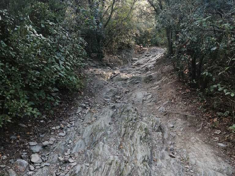 Coll de la Vinyassa: Wanderungen und Rundwege | komoot