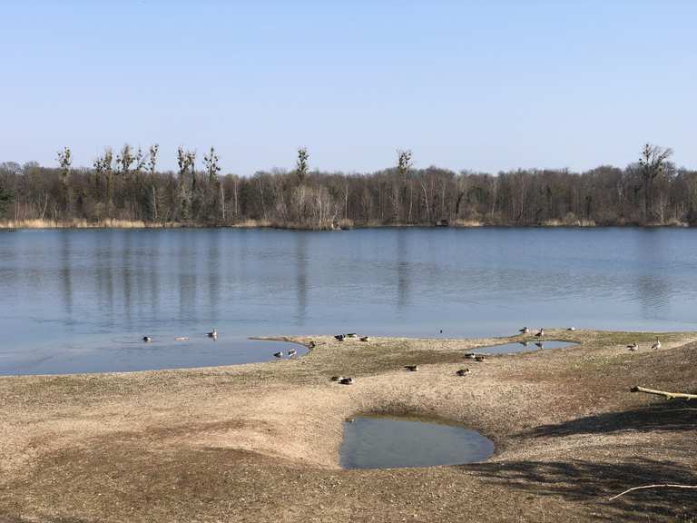 Restaurant Im Hopfengarten : Radtouren und Radwege | komoot