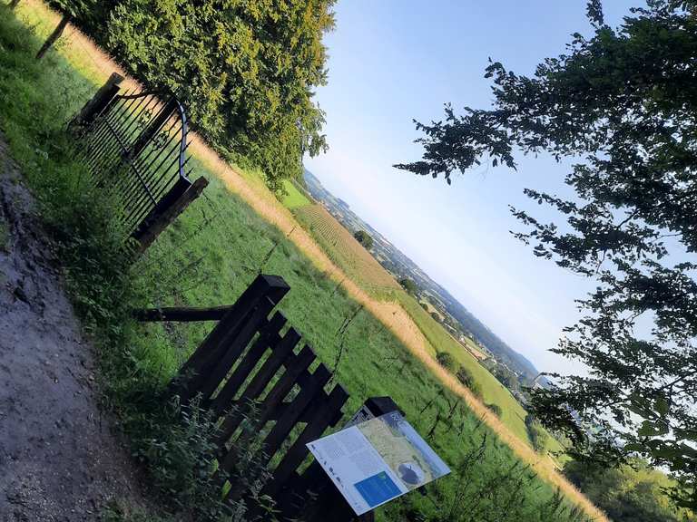 Uitzicht over Vijlen wandelroutes en hikes | Komoot