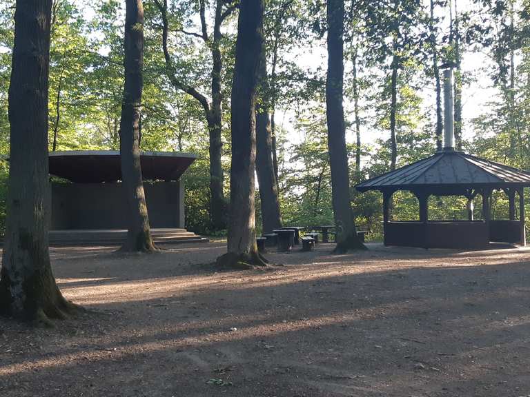 Holzskulpturen im Parkwald Segendorf: Wanderungen und Rundwege | komoot
